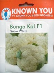 Jual Benih Bunga Kol Snow White F1 | SENTRATANI.COM