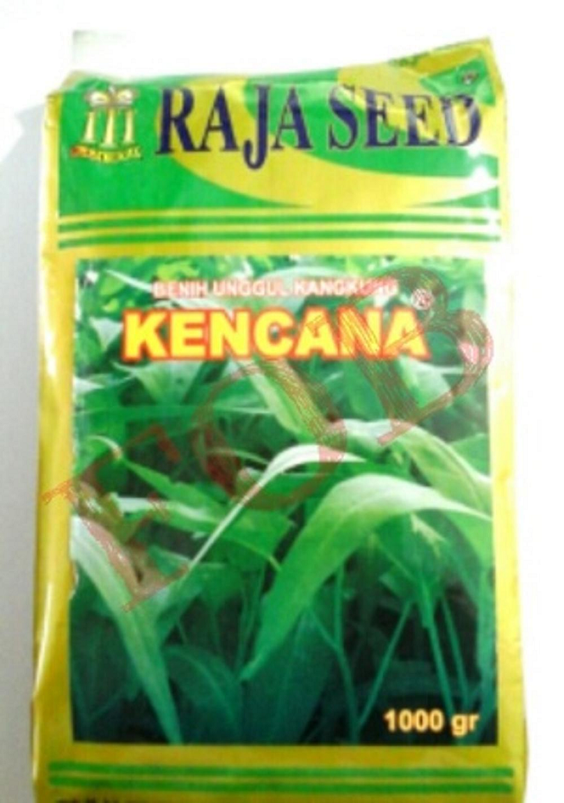 Jual Benih Raja Seed Kangkung Kencana 1000gr | SENTRATANI.COM