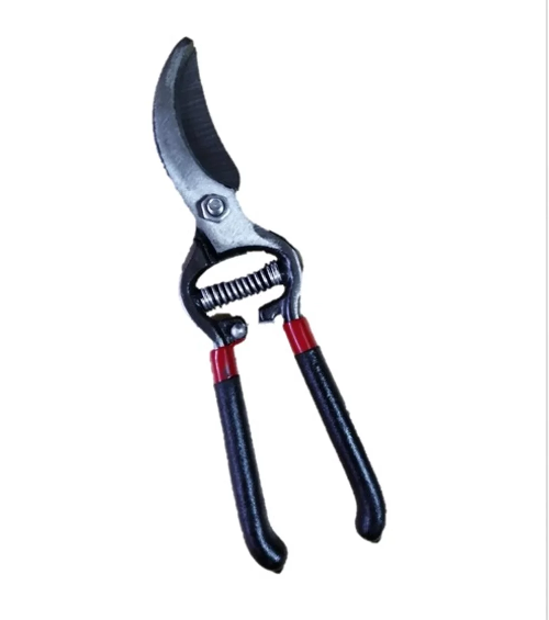 Jual Gunting Dahan Ranting Daun Bunga 8 Inci Inch Palazzo | SENTRATANI.COM