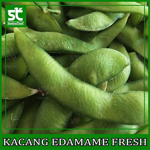 Jual KACANG EDAMAME FRESH 1 KG | SENTRATANI.COM